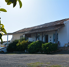 Que faire en Tunisie - TEBOURBA - Le Lemon Tour